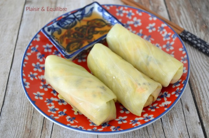 Chou farci façon nems | Plaisir et Equilibre